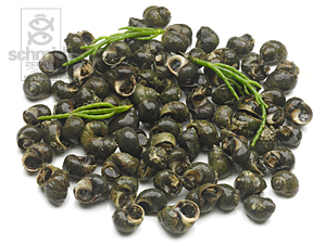 Alle producten online kopen | Schmidt Zeevis