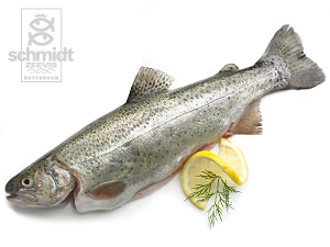 Vis Bestellen: Verse soorten Vis online kopen | Schmidt Zeevis