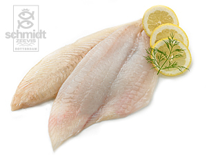 Griet Kopen: Vis griet filet prijs per kilo bestellen | Schmidt Zeevis