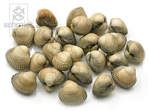 Alle producten online kopen | Schmidt Zeevis