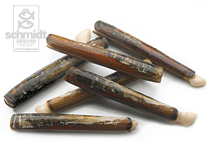 Schaal en Schelpdieren kopen: prijs & bestellen | Schmidt Zeevis