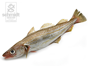 Vis Bestellen: Verse soorten Vis online kopen | Schmidt Zeevis