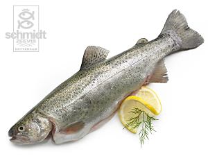 Vis Bestellen: Verse soorten Vis online kopen | Schmidt Zeevis