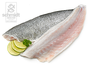 Zeebaars Kopen: Verse Zeebaars filet prijs / kilo | Schmidt Zeevis