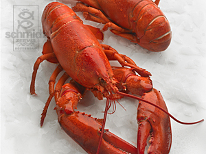 Alle producten online kopen | Schmidt Zeevis